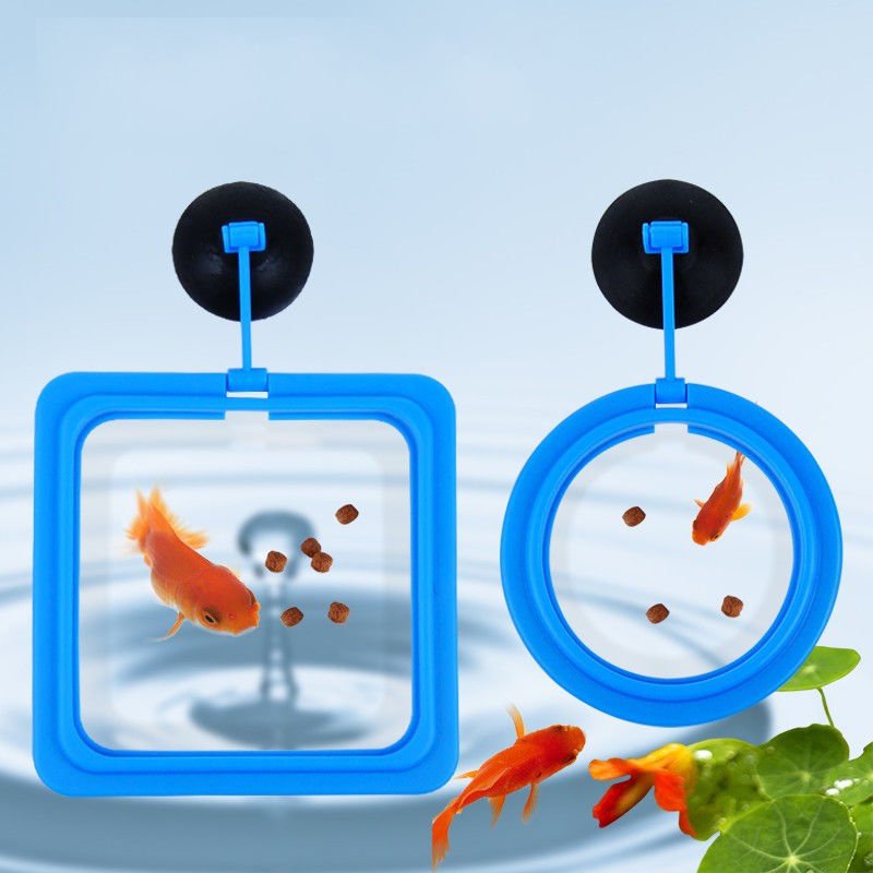 Aquarium Fish Feeding Ring Tank Food Suction Cup Floating Square Feeder ...