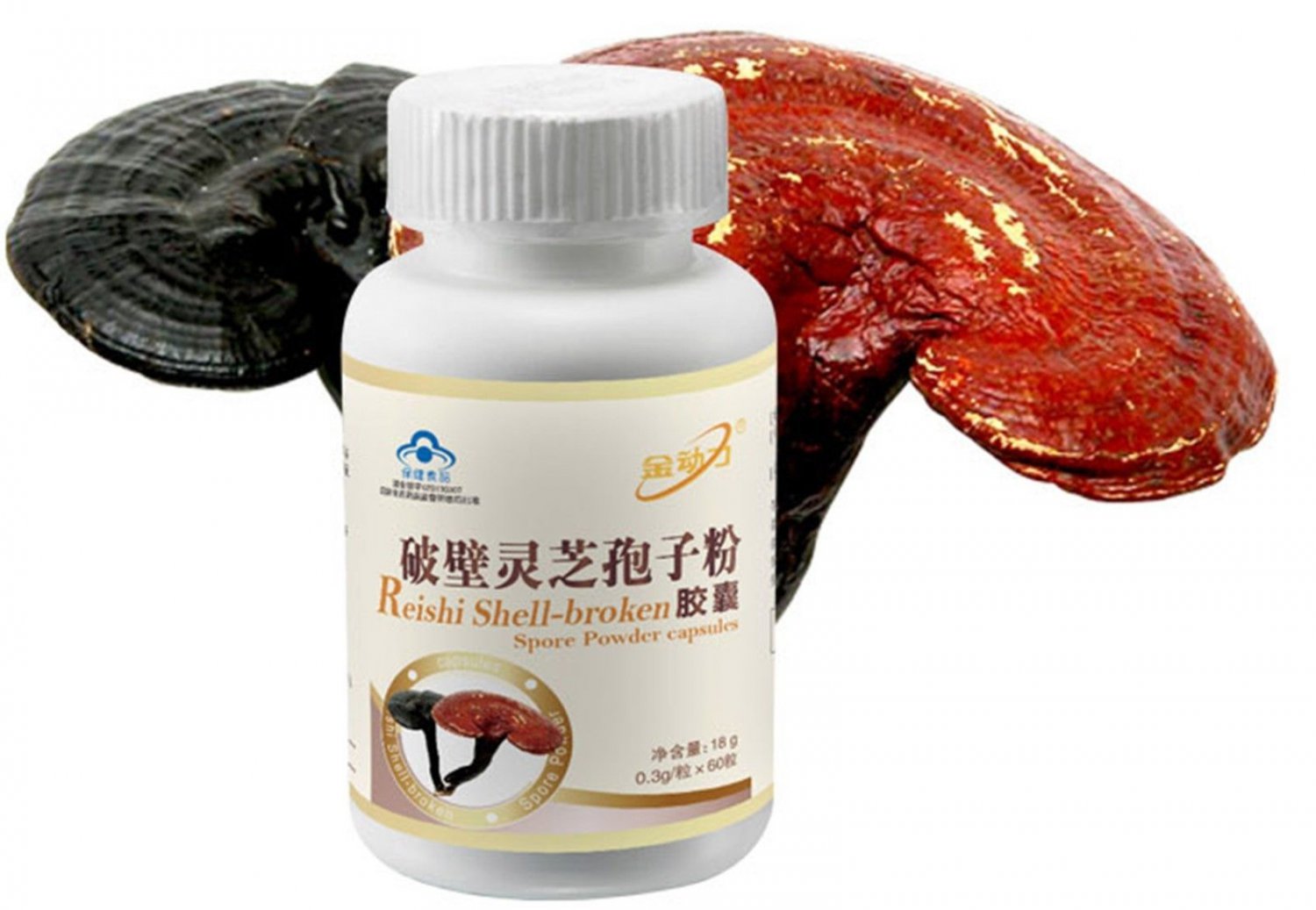 2 Bottles Ganoderma lucidum Reishi Shell-broken Spore Powder Capsule ...