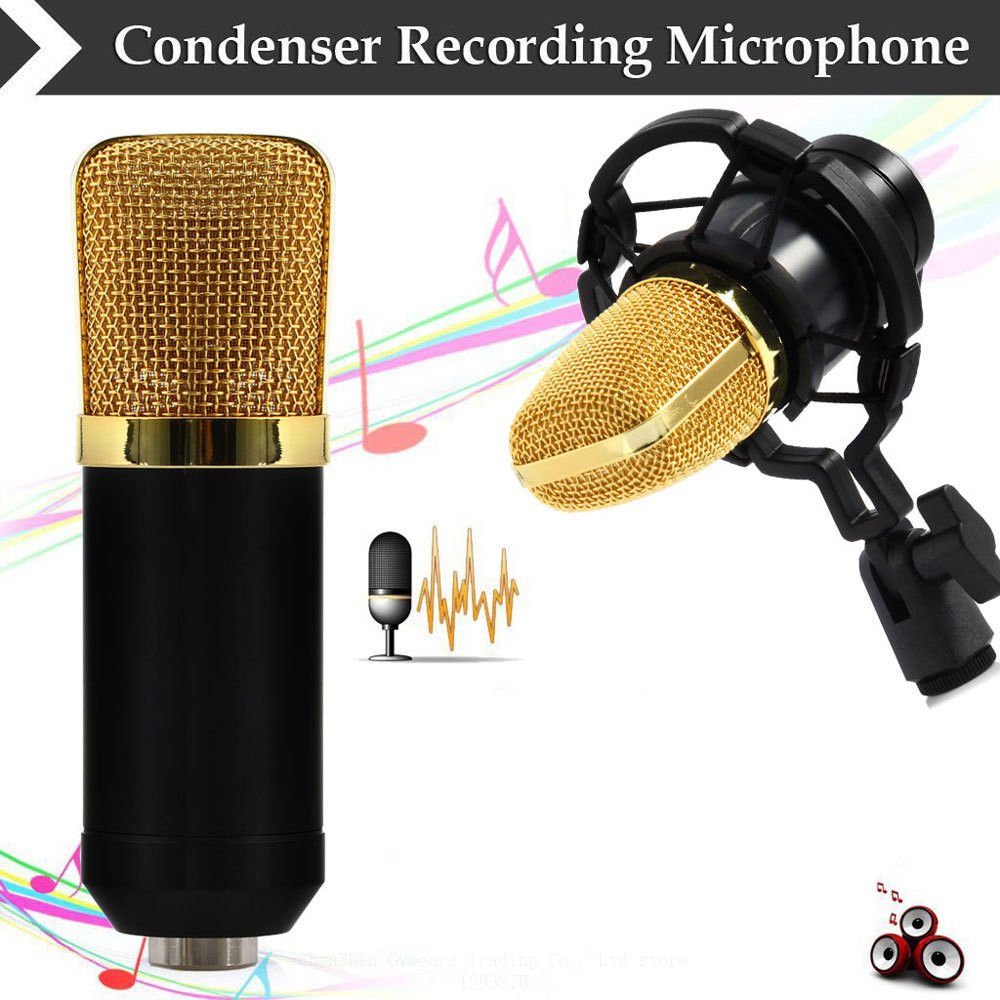 BM-700 Professional Wired 3.5mm Condenser Microphone BM 700 NB-35 ...