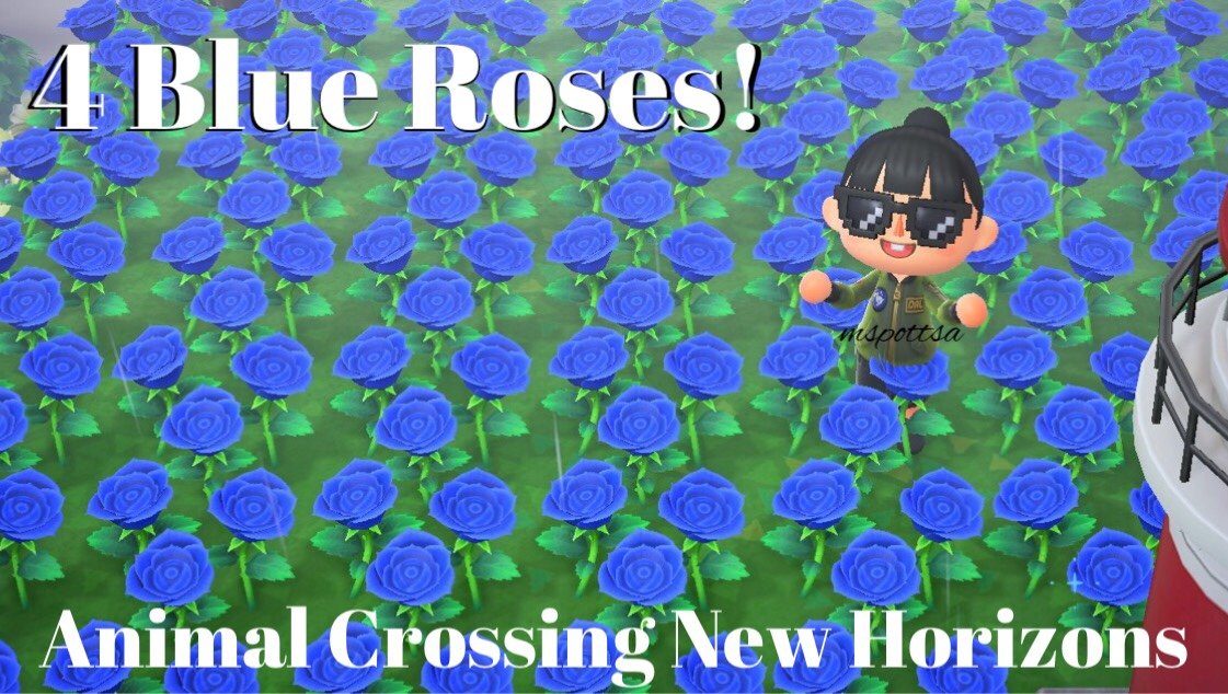 4 RARE Blue Roses Hybrid Flowers Bundle Lot - Animal Crossing New ...