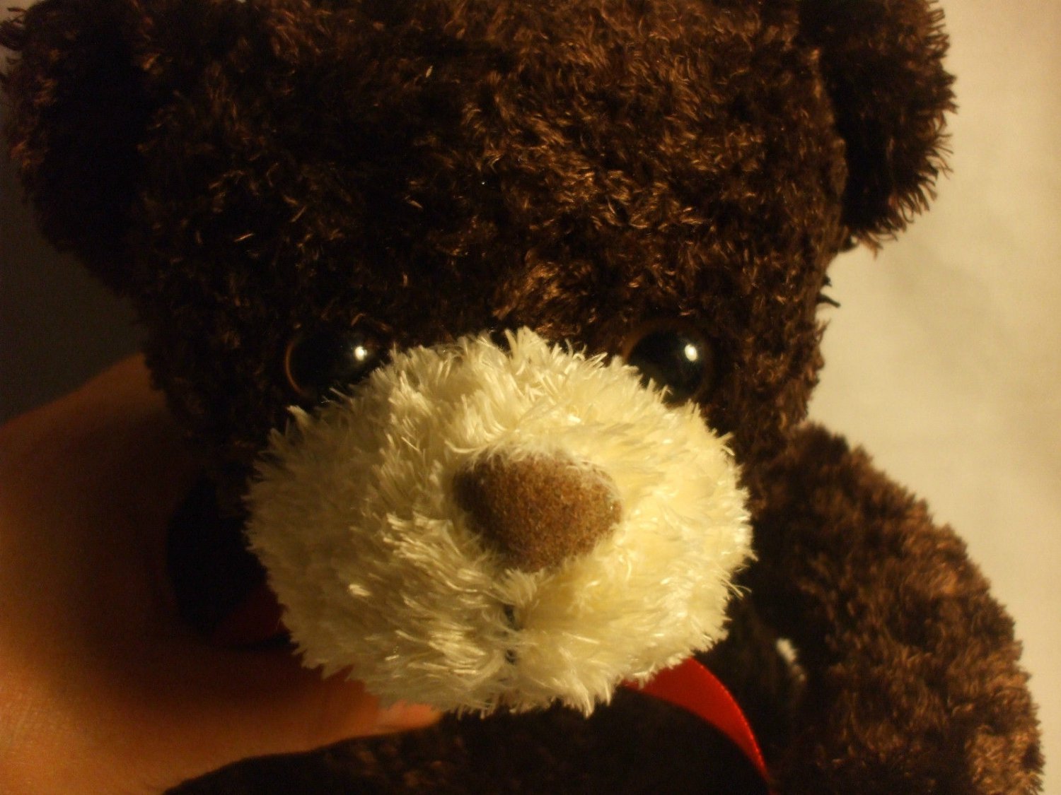 Tim Hortons 9 Inches BrownTeddy Bear Plush Toy