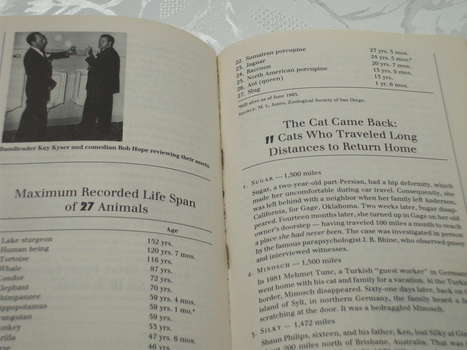 The People's Almanac Book Of Lists 90's Edition Hardcover With Dust Jacket