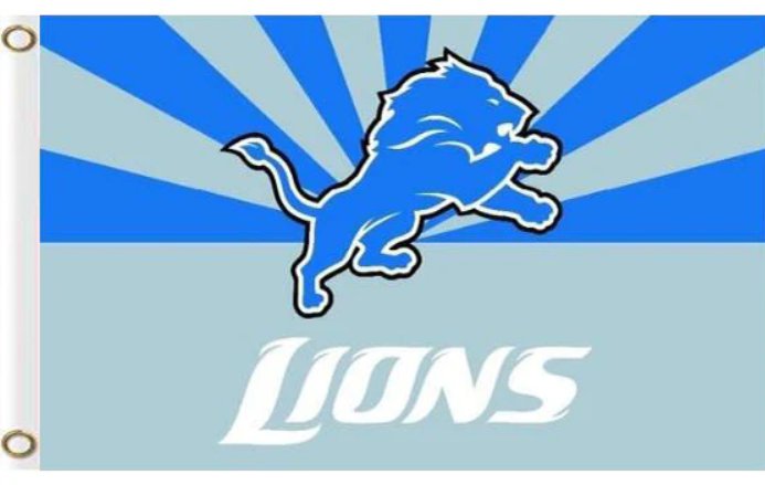 Detroit Lions Flag 3x5ft
