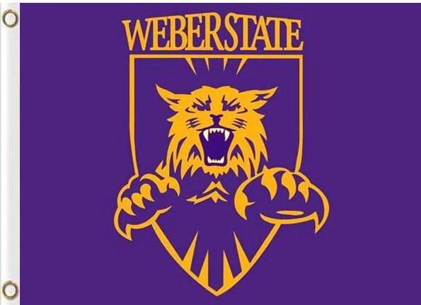 Weber State Wildcats Flag 3x5ft