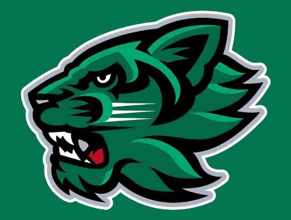 Binghamton Bearcats Hand Flag 3x5ft