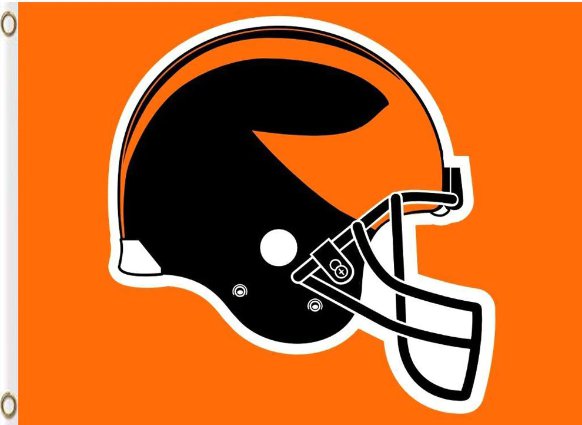 Princeton Tigers Sports Team Flag 3x5ft