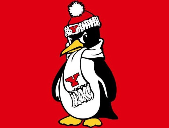 Youngstown State Penguins Flag 3x5ft