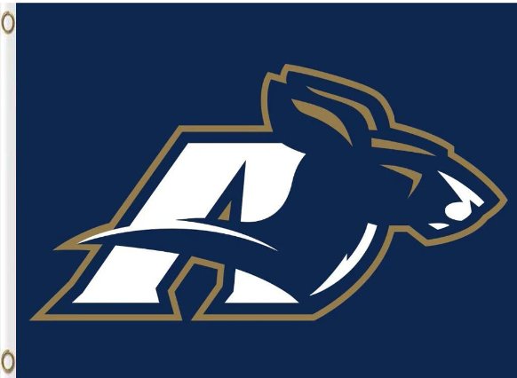 Akron Zips Logo Hand Flag 3x5ft