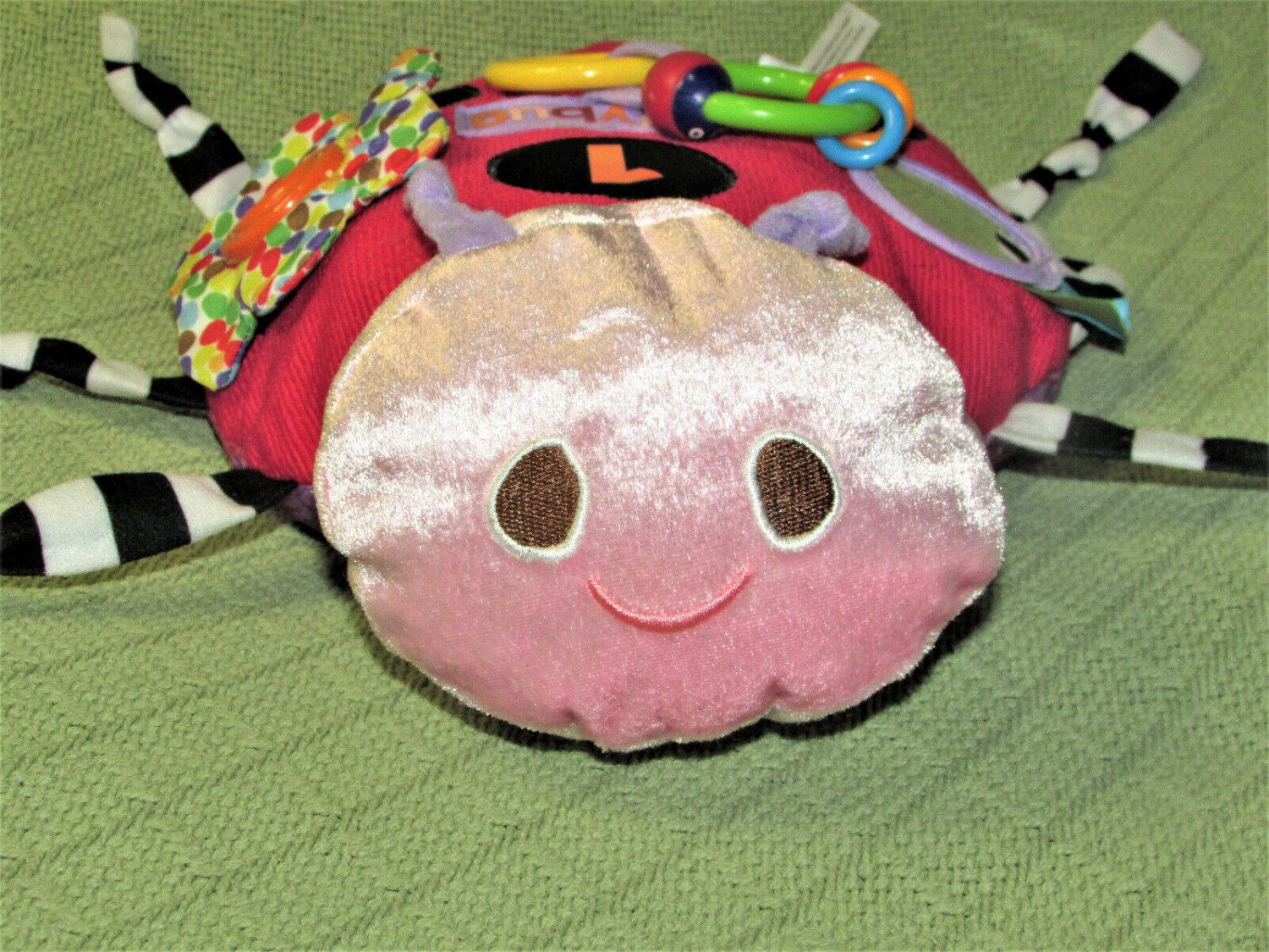 12" ERIC CARLE LADYBUG RED BABY PLUSH ACTIVITYTPY CRINKLY STUFFED ...