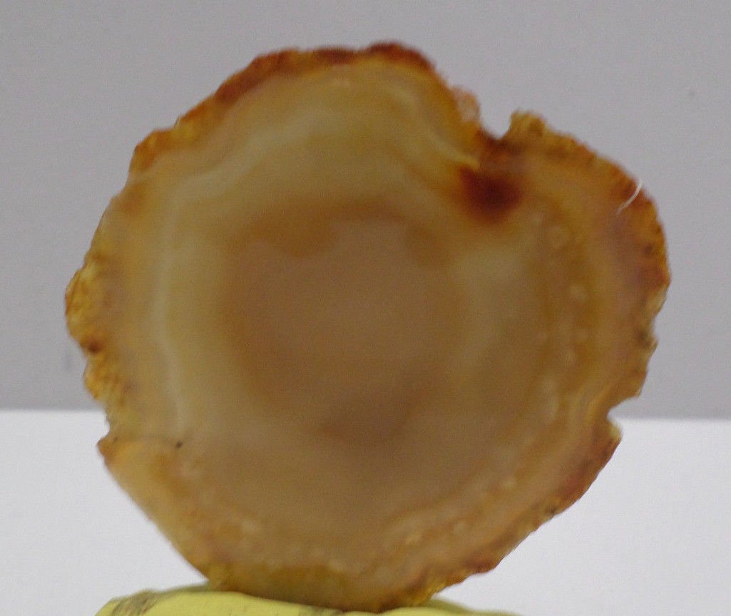 Lapidary Display Specimen Rock Stone