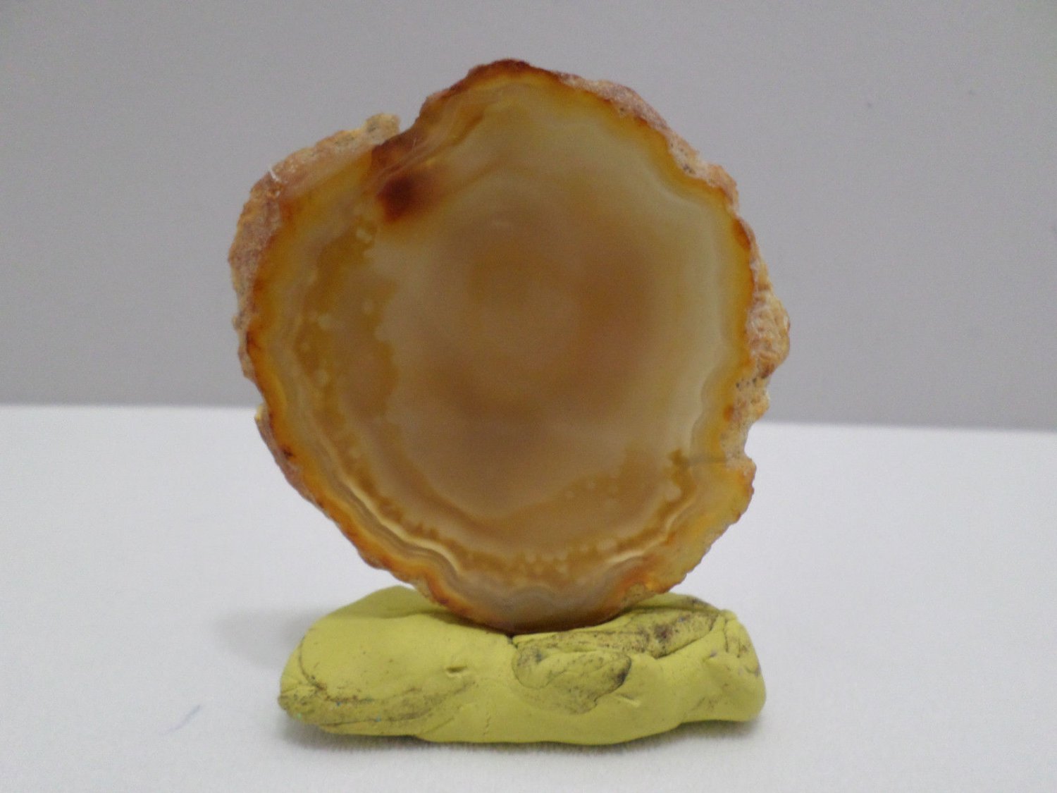 Lapidary Display Specimen Rock Stone