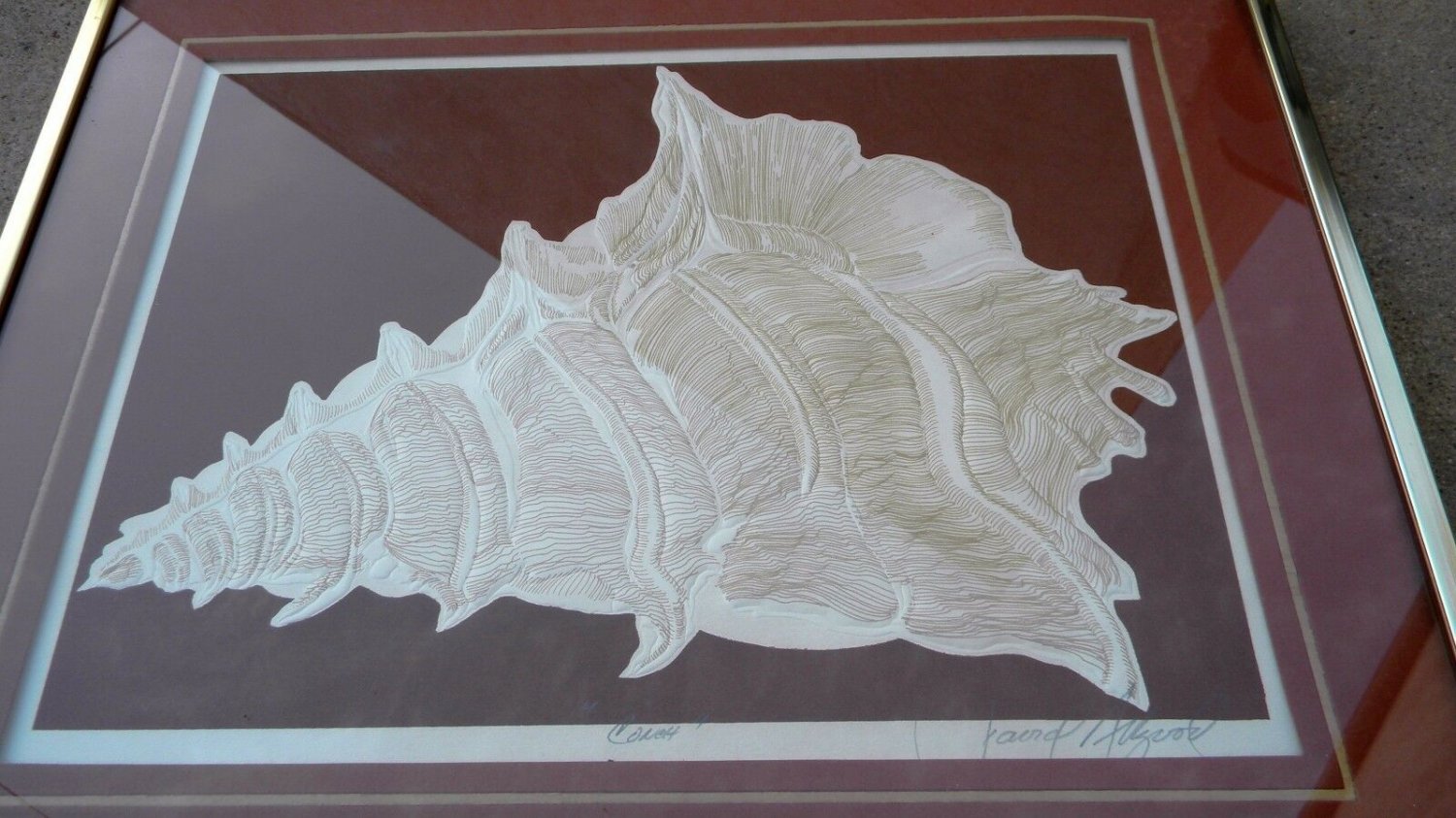 Vintage David Allgood Embossed Serigraph Conch Art Signed COA Framed 1982