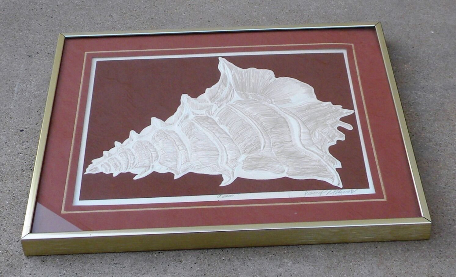 Vintage David Allgood Embossed Serigraph Conch Art Signed COA Framed 1982
