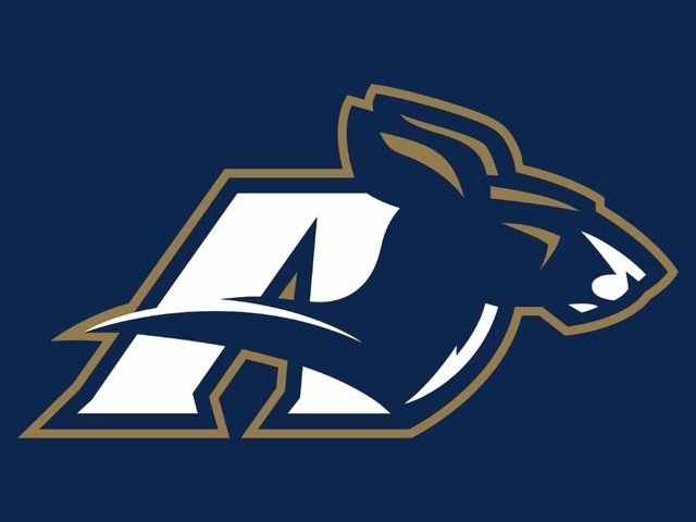Akron Zips Logo Hand Flag 3ftx5ft Team Banner 100D Polyester Flag 3x5 FT