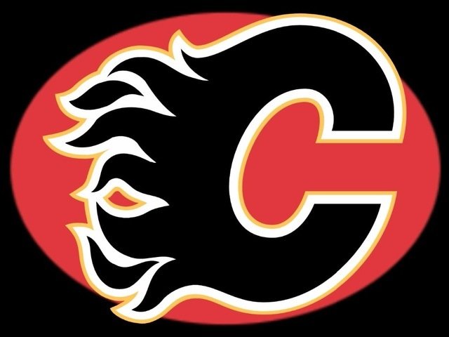 Calgary Flames Flag 3x5 FT 100D Polyester Banner flag 1133, free shipping
