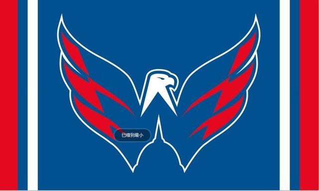 Washington Capitals flag 3ftx5ft Banner 100D Polyester Flag metal Grommets