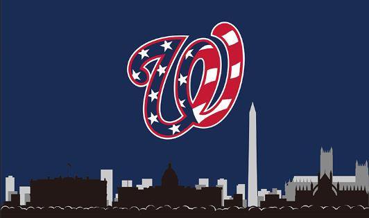Washington Nationals skyline flag 3ftx5ft 100D Polyester Flag metal ...