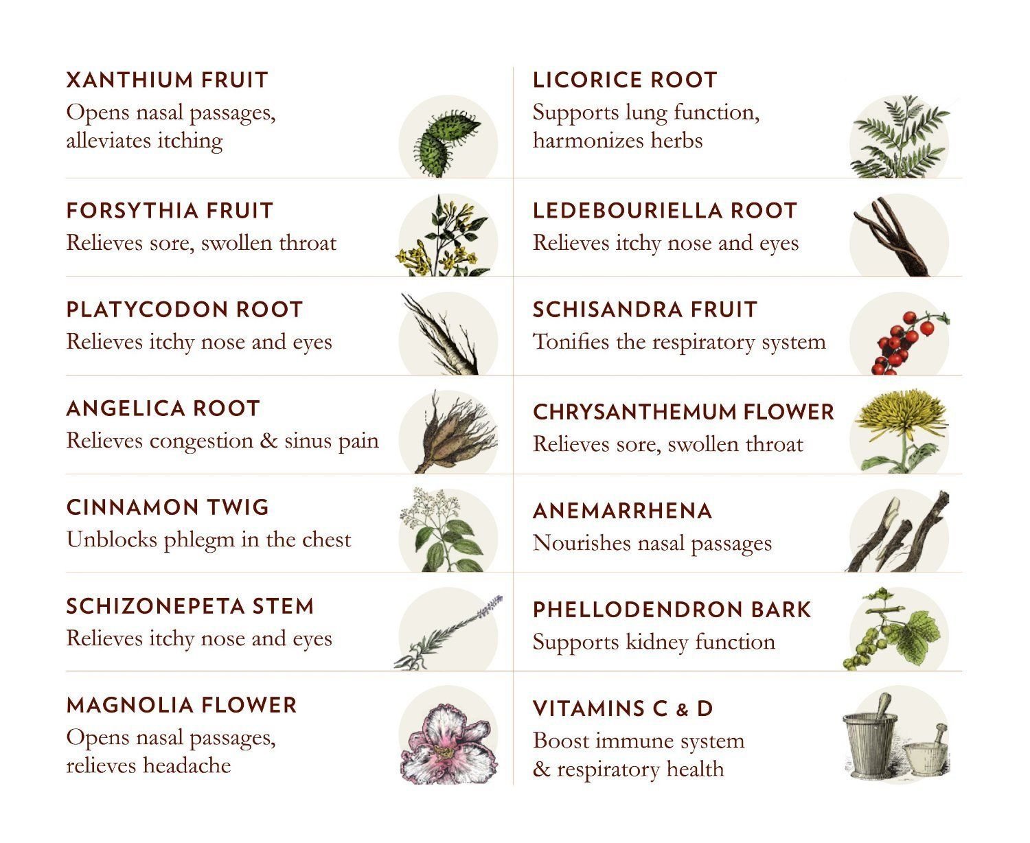 Rootology Breathe Free, Nasal & Sinus Health, 120 Capsules FREE SHIPPING