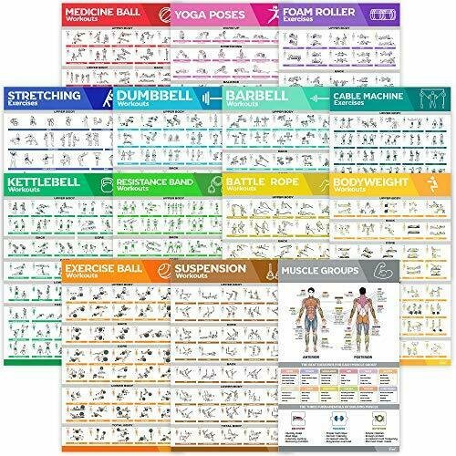 [14-PACK] Laminated Large Workout Poster Set - Perfect Workout Posters ...