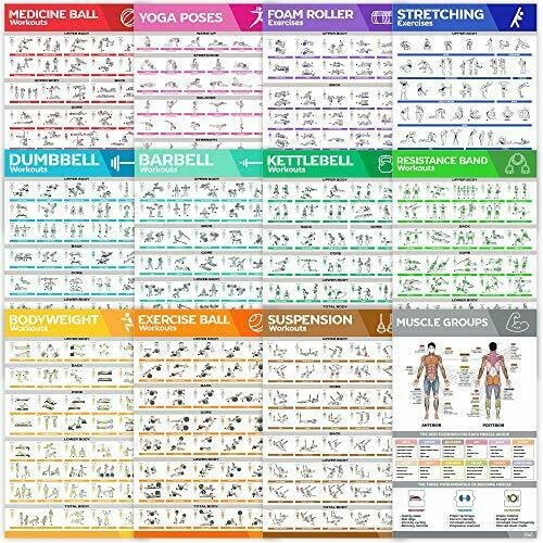 [12-PACK] Laminated Large Workout Poster Set - Perfect Workout Posters ...