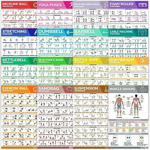 [16-PACK] Laminated Large Workout Poster Set - Perfect Workout Posters ...