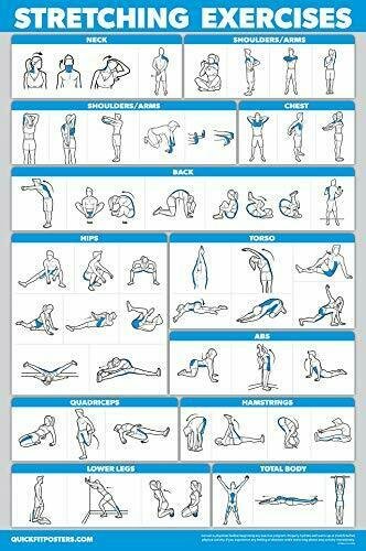 QuickFit Stretching Workout Exercise Poster - Double Sided (Laminated ...