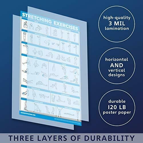 QuickFit Stretching Workout Exercise Poster - Double Sided (Laminated ...