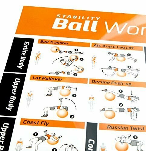 Exercise Ball Poster Laminated - Total Body Workout - Personal Trainer ...
