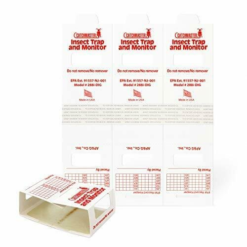 30 Brown Recluse Spider Traps (non-toxic)