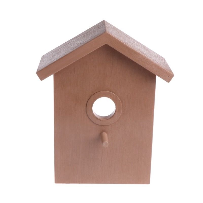My Spy Birdhouse - Peek Into the World of Birds