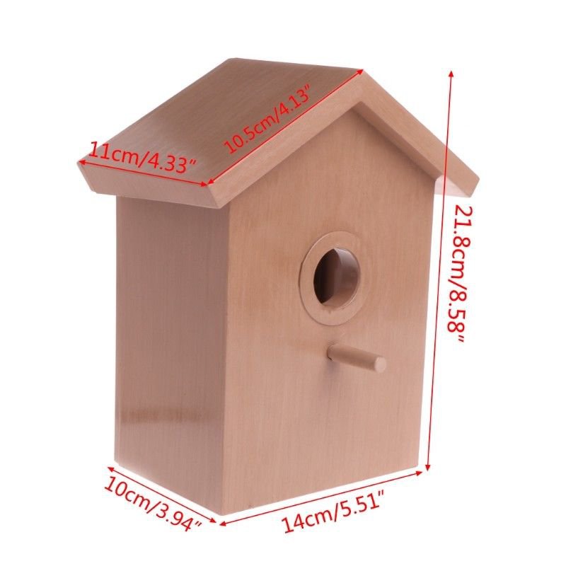 My Spy Birdhouse - Peek Into the World of Birds