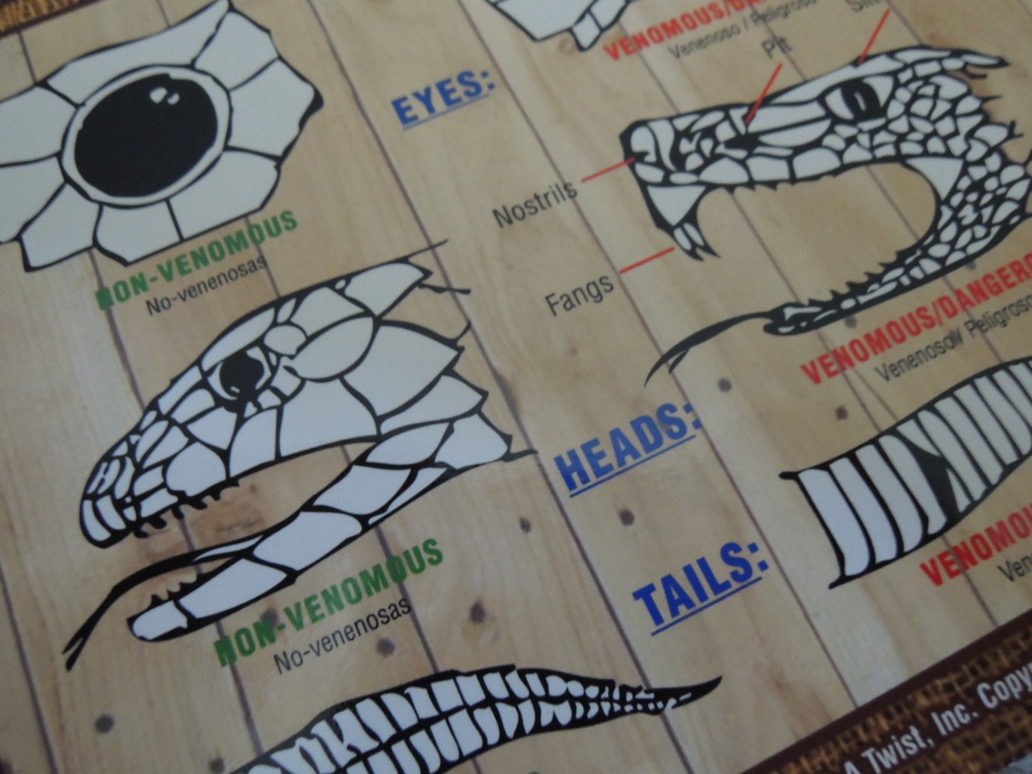 Snake Identification Guide Snake I. D. Chart - Do and Don't Do ...