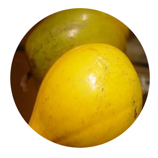 DwarfGiantFarm 200Pcs A Set Lucuma nervosa Seed Proqgf