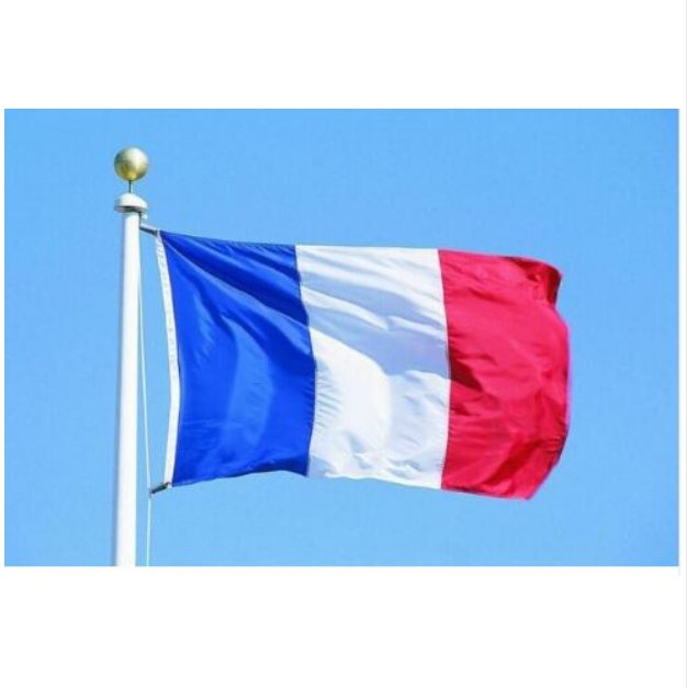 free shipping french flag Royal Standard Napoleon 150X90CM Polyester ...