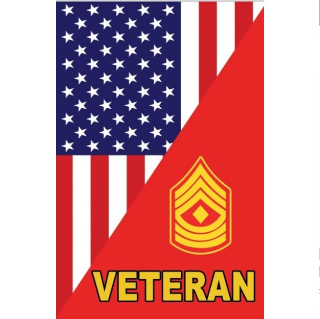 Free Shipping Aerlxemrbrae Flag Custom Garden Flags Outdoor Decorativ