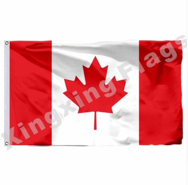 Canada 1965 Flag 3ft X 5ft Polyester Qatar National Flag Flying Size No ...