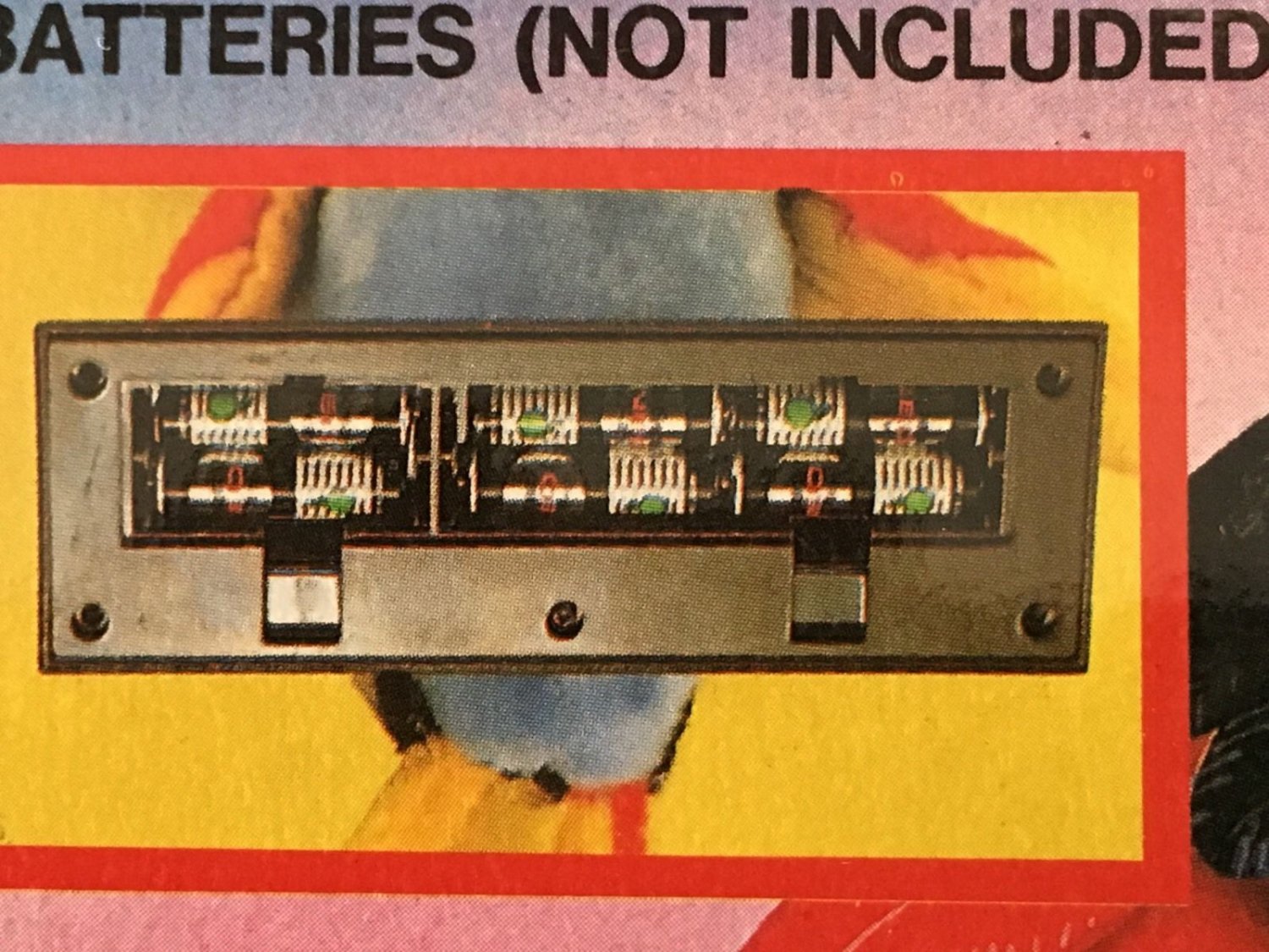 Animated Talking Toucan!