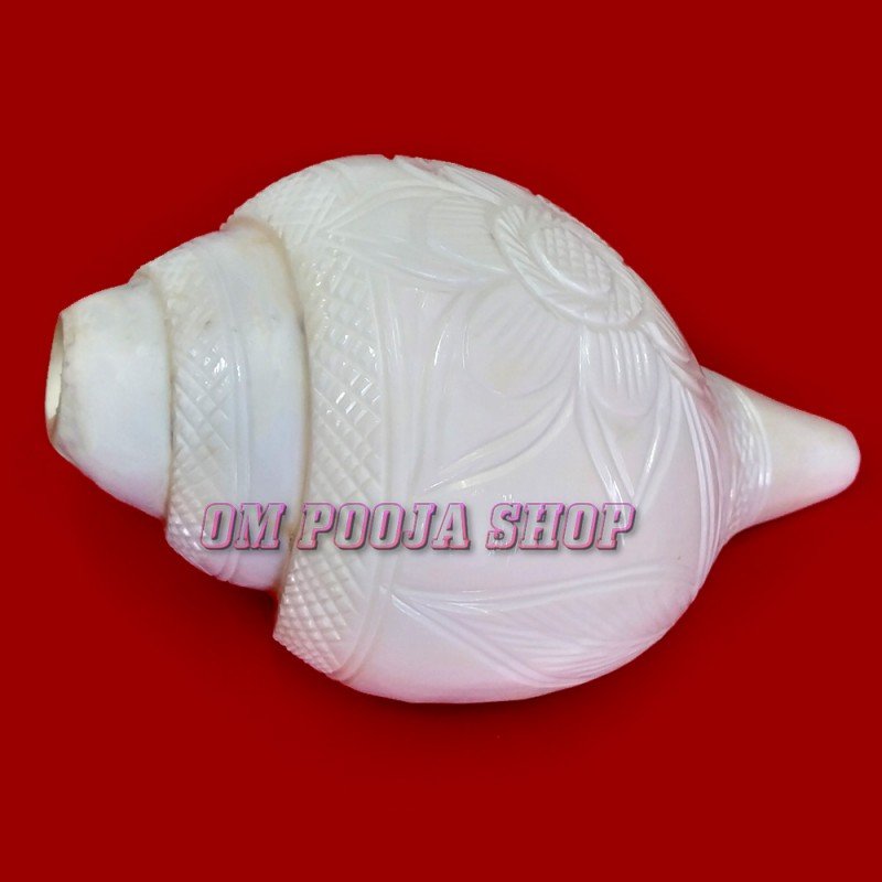 Flower Carving Natural Blowing Shankha for Blowing - Om Pooja Shop