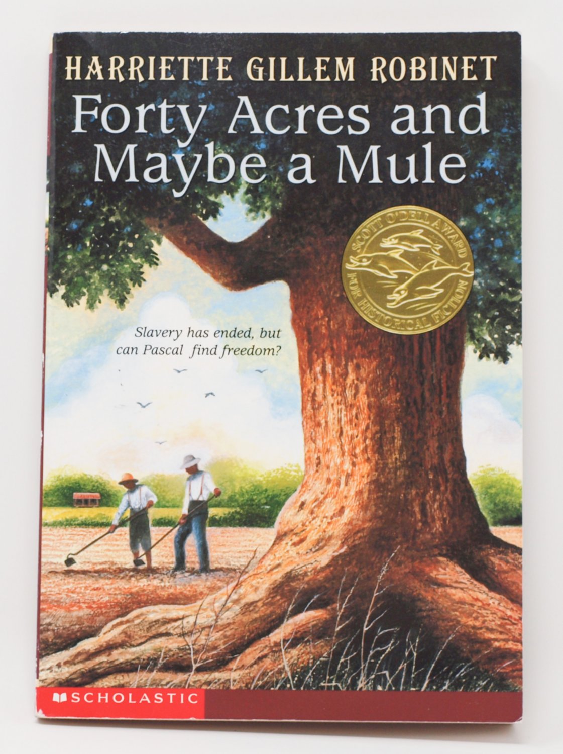 Forty Acres and Maybe A Mule by Harriette Gillem Robinet, 2001 ...