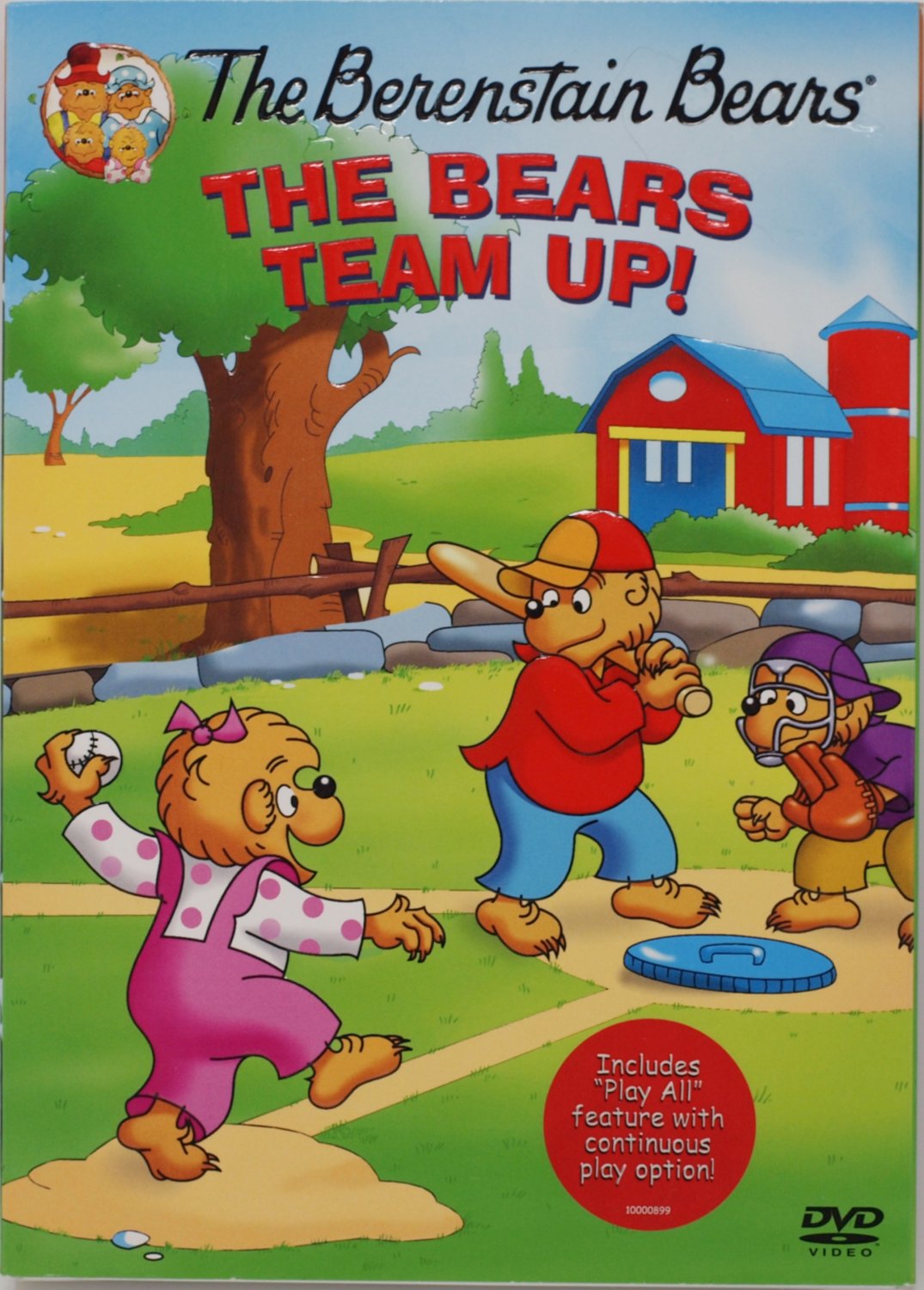 The Berenstain Bears - BEARS TEAM UP! (2004) DVD Includes 6 Episodes NEW