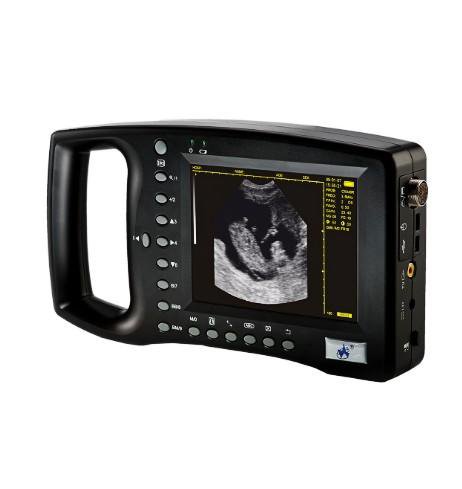 Animal pregnancy ultrasound scanner for horse,cattle,sheep
