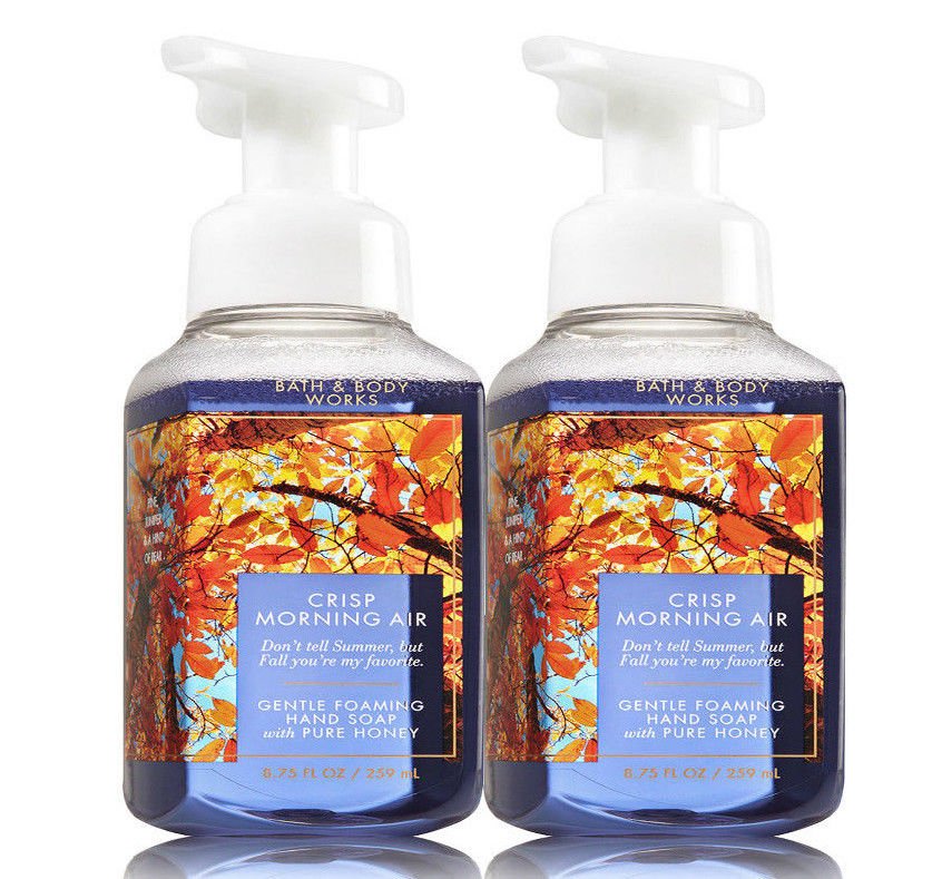 Bath & Body Works Crisp Morning Air Gentle Foaming Hand Soap - 1 Set of 2