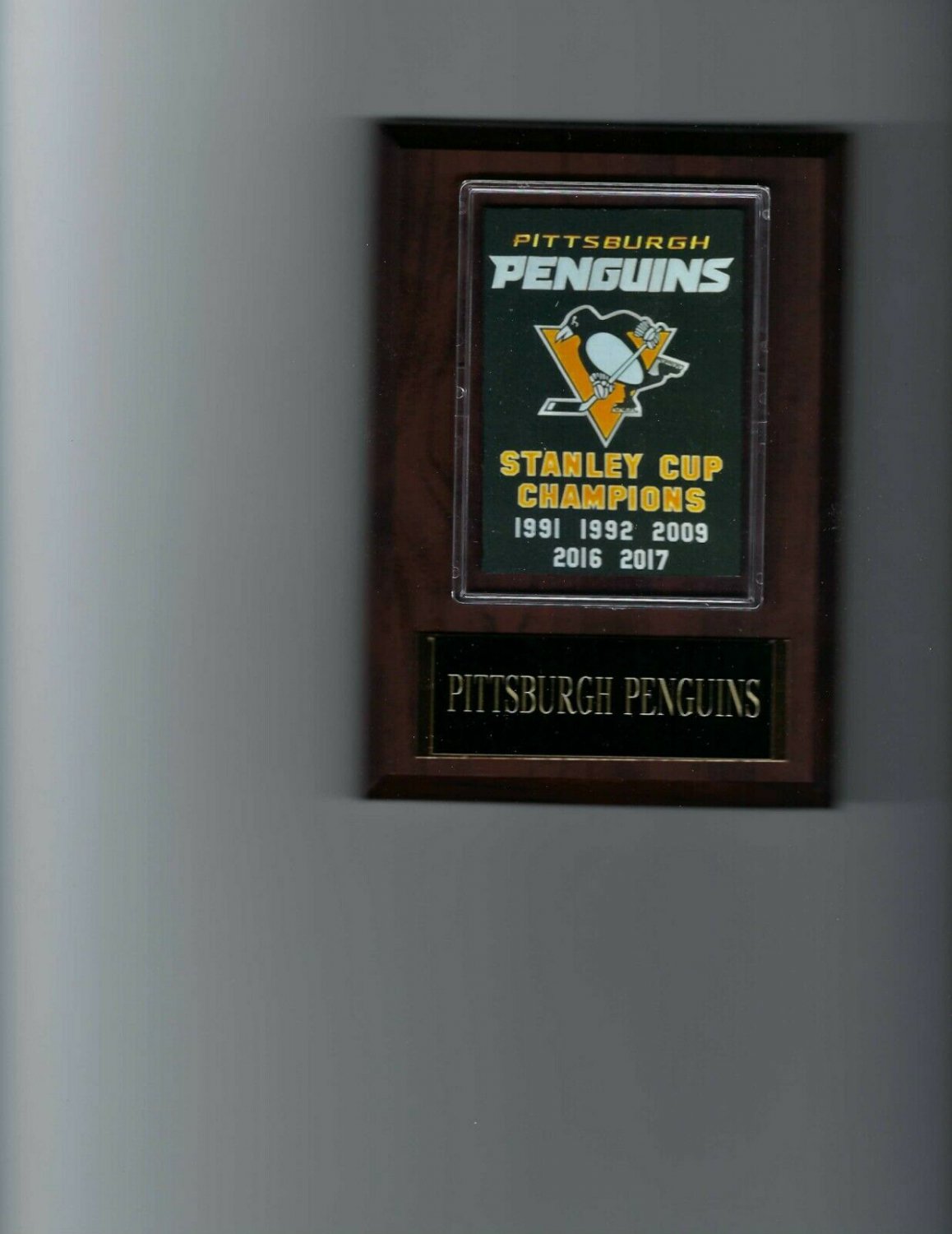 PITTSBURGH PENGUINS STANLEY CUP BANNER PLAQUE CHAMPS CHAMPIONS HOCKEY NHL