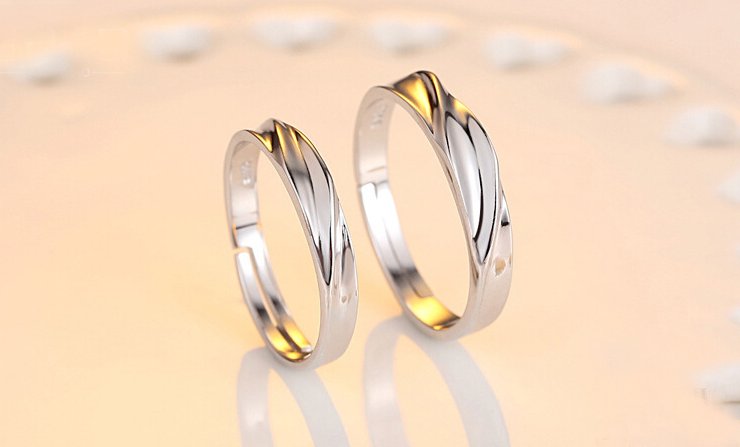 Twisted Couple Rings Silver Plated Fashion Women's Rings Intertwined ...