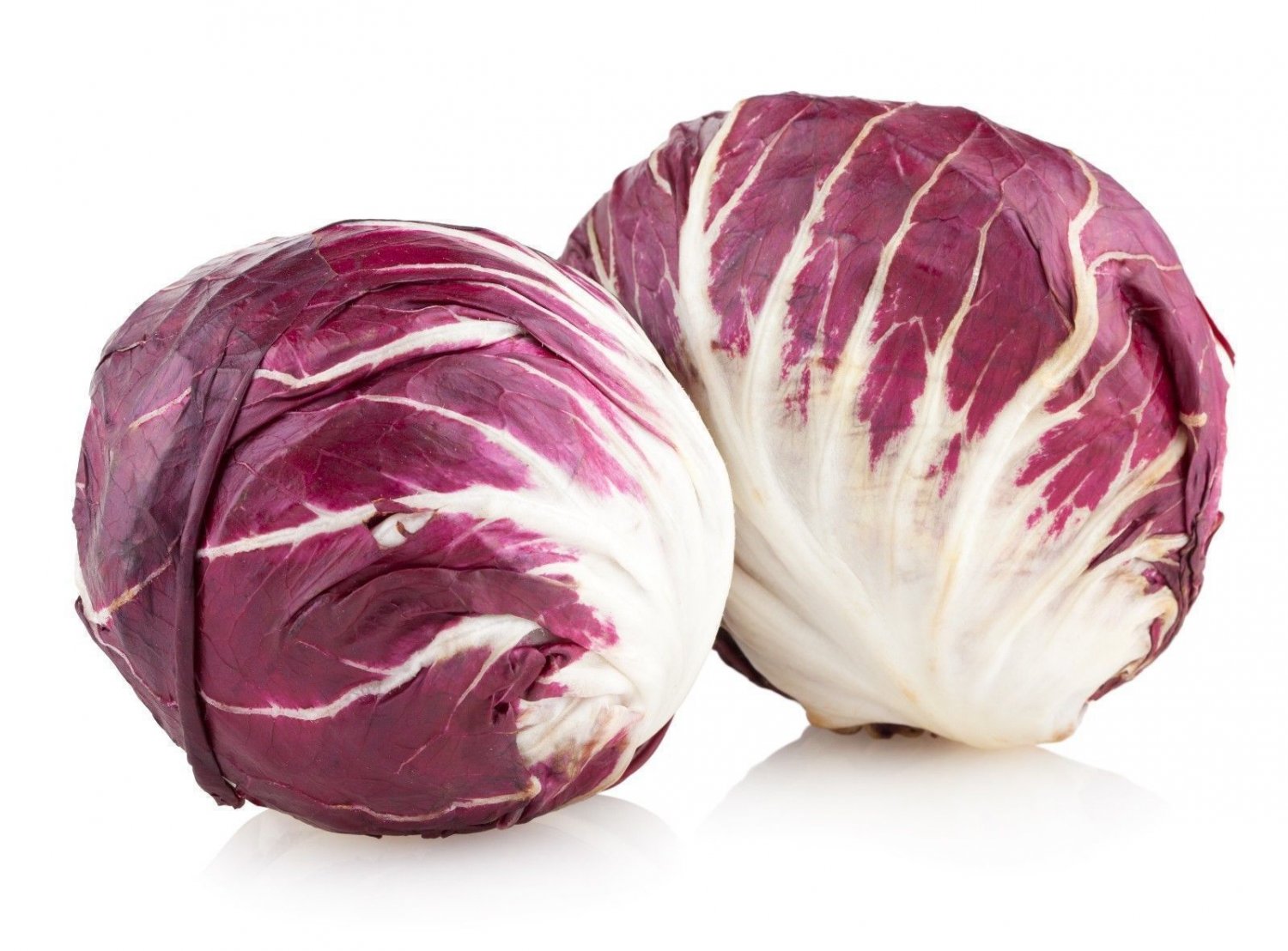Radicchio Palla Rosa Non GMO Heirloom Garden Vegetable 100 Seeds Sow No ...