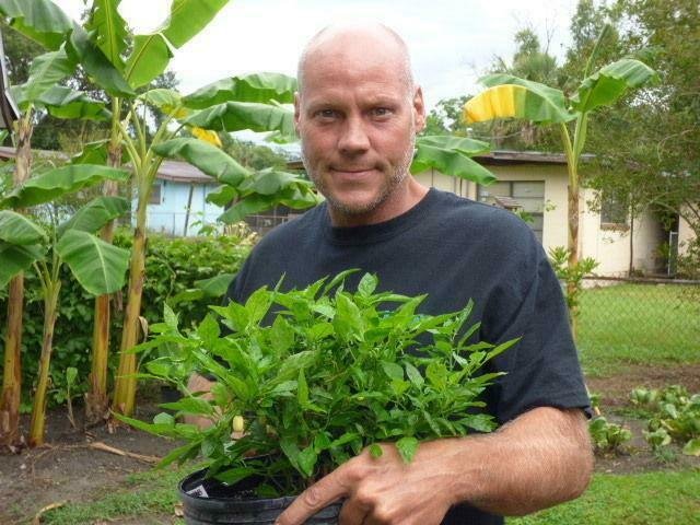 White Habanero Peruvian Pepper Seeds bin71