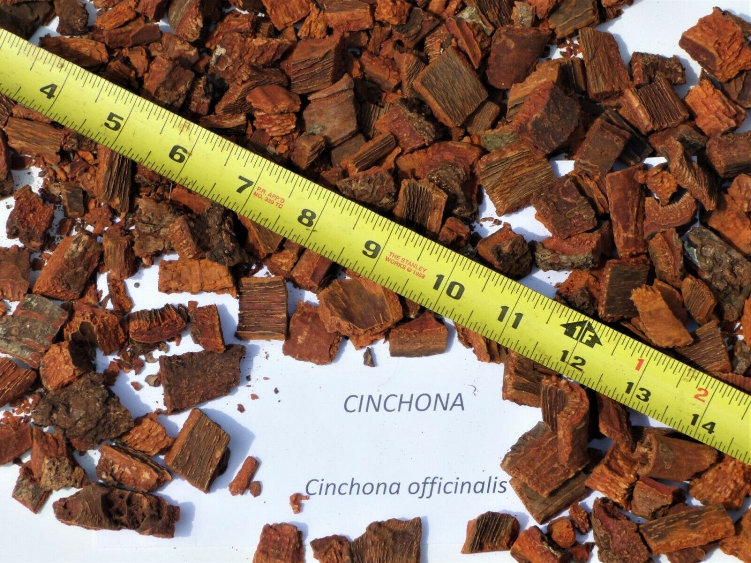 Cinchona Bark - Cinchona officinalis - Peruvian Jesuit Quina Roja - MO4