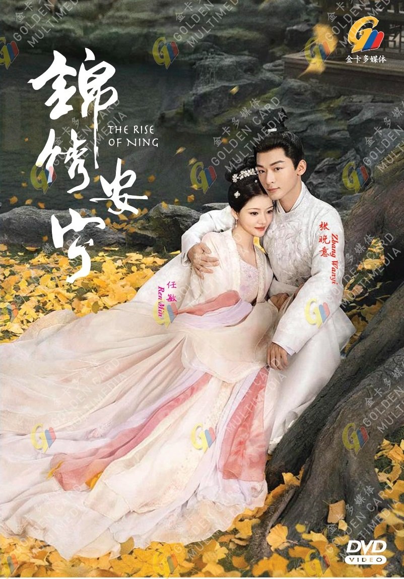 Chinese Drama DVD The Rise of Ning TV Series Vol.1-40End (2024 , 锦绣安宁 ...