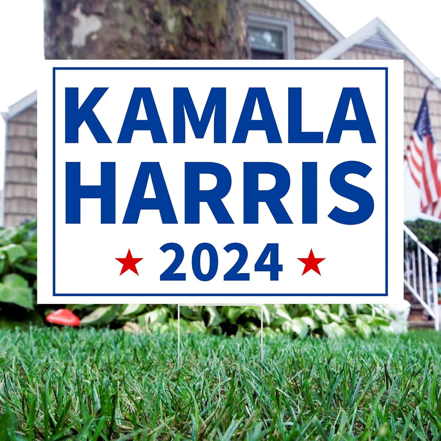 Probsin Kamala Harris 2024 Yard Sign Double Sided 16" x 24" Signs Voted ...