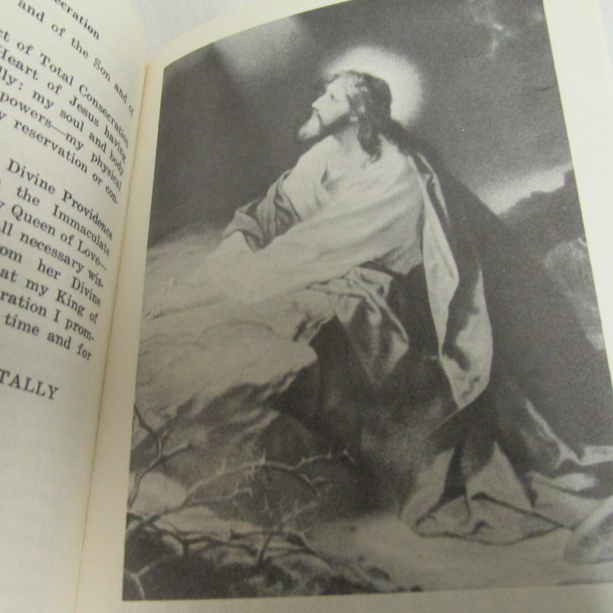 Holy Hour For Religious Vintage 1956 Booklet Catholic Prayers Devotions